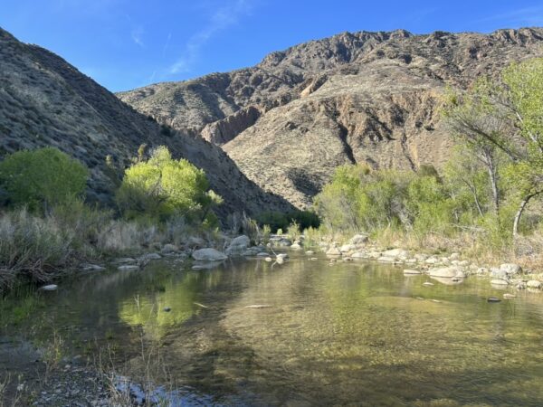 Hiking the Sespe River Trail: Southern California's Hidden Wilderness ...